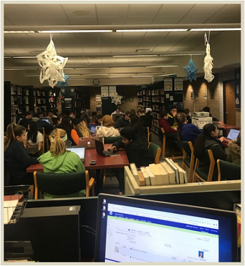 Ideal Libraries Guide in Practice