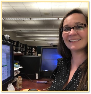 Staffing Choices in School Libraries – A State Level Perspective